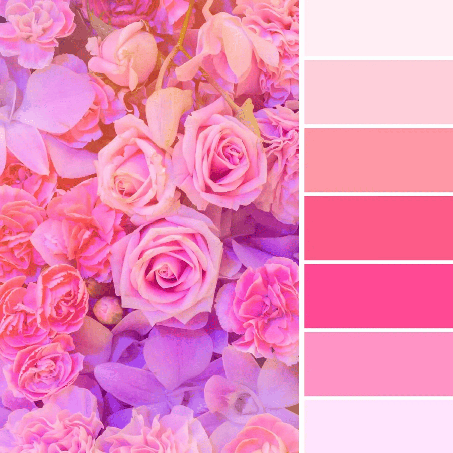 Jak namíchat růžovou barvu - Lovely Home